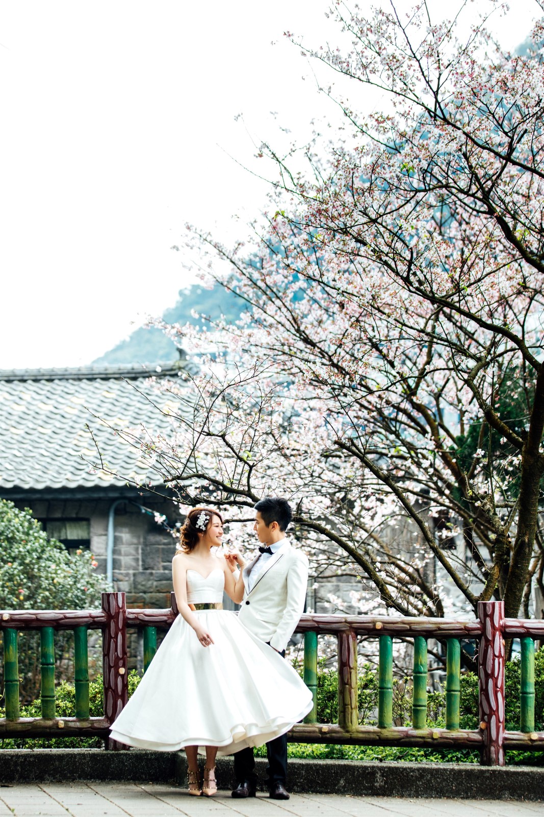 Hitcheed.com | Taipei