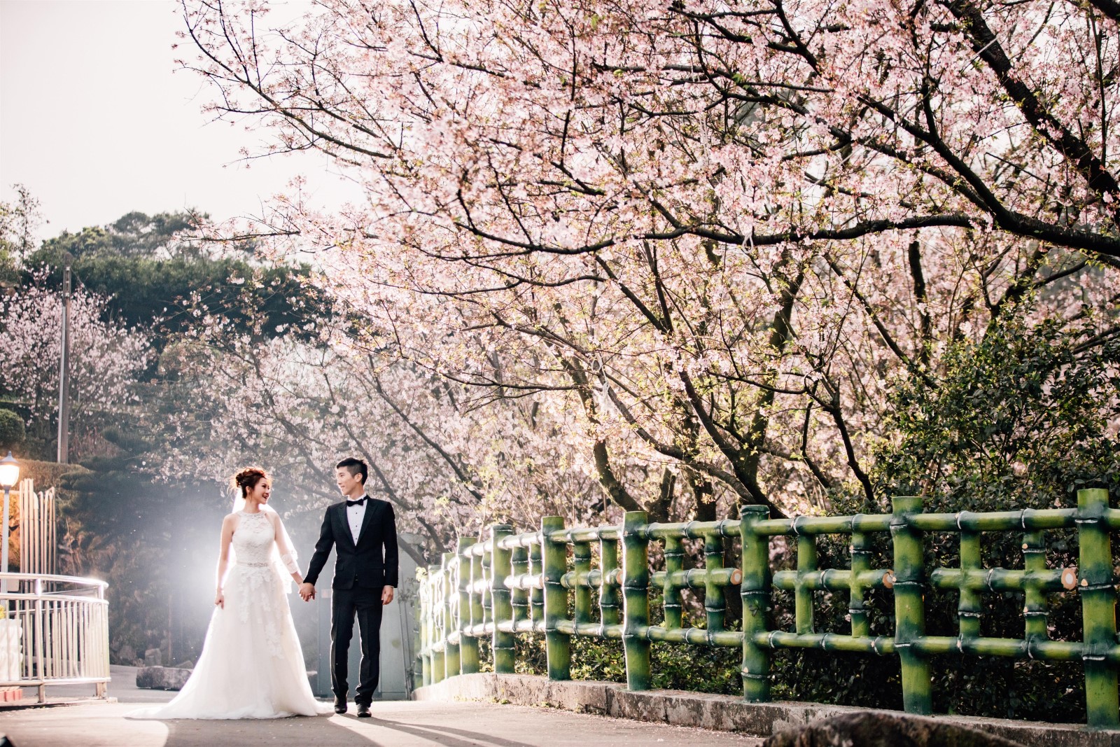 Hitcheed.com | Taipei